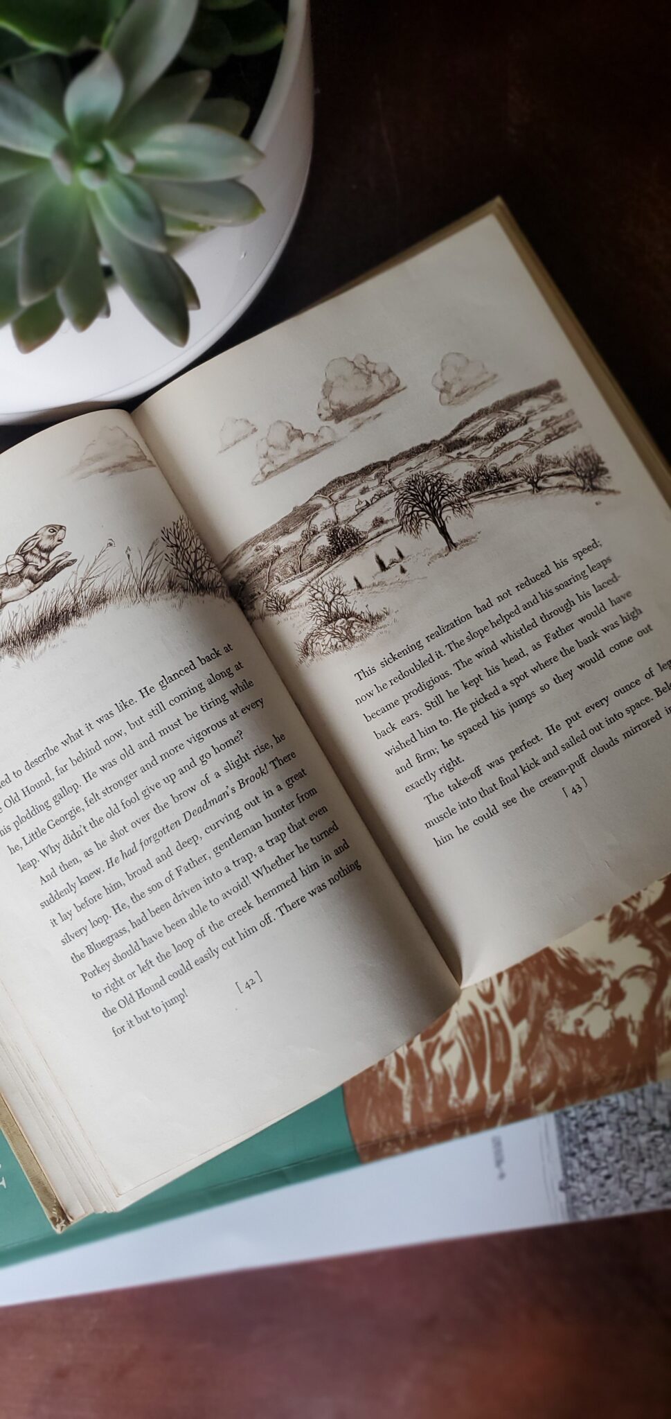 The Best Living Books for Elementary Students